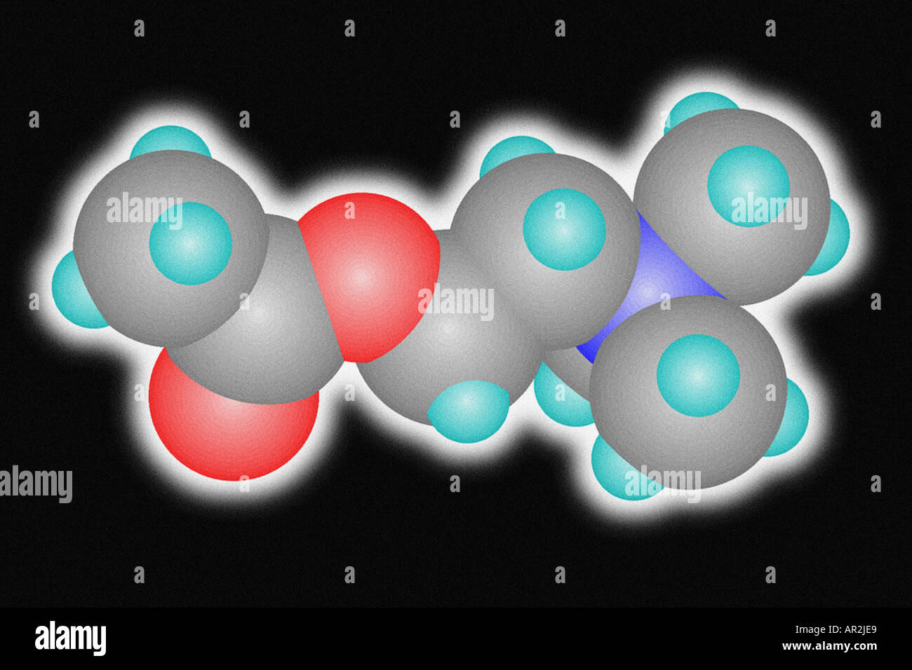 Acetylcholine hi-res stock photography and images - Alamy