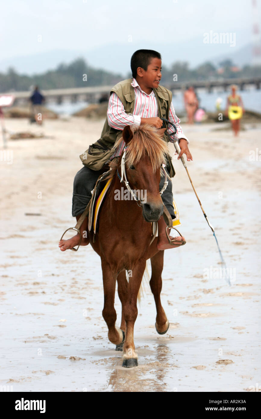 Beach Pony Rides High Resolution Stock Photography and Images - Alamy