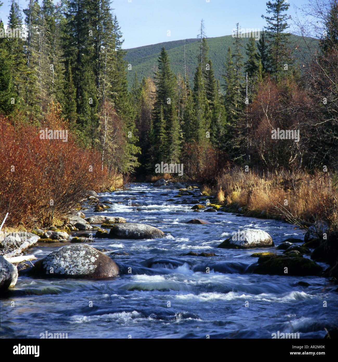 At the lake baikal in the bargusin national park hi-res stock ...