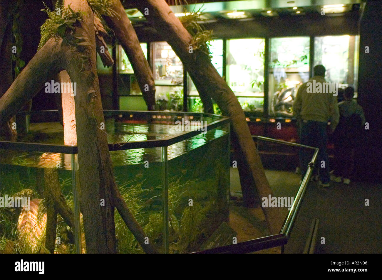 The bronx zoo hi-res stock photography and images - Alamy