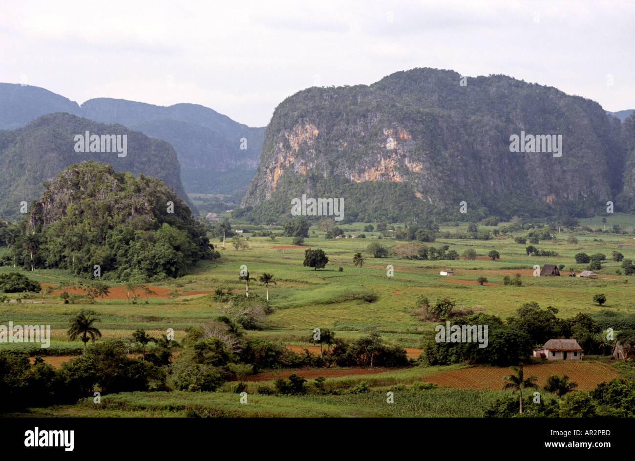 View of mogotes (Jurassic mountains) and countryside, Vinales, Pinar ...