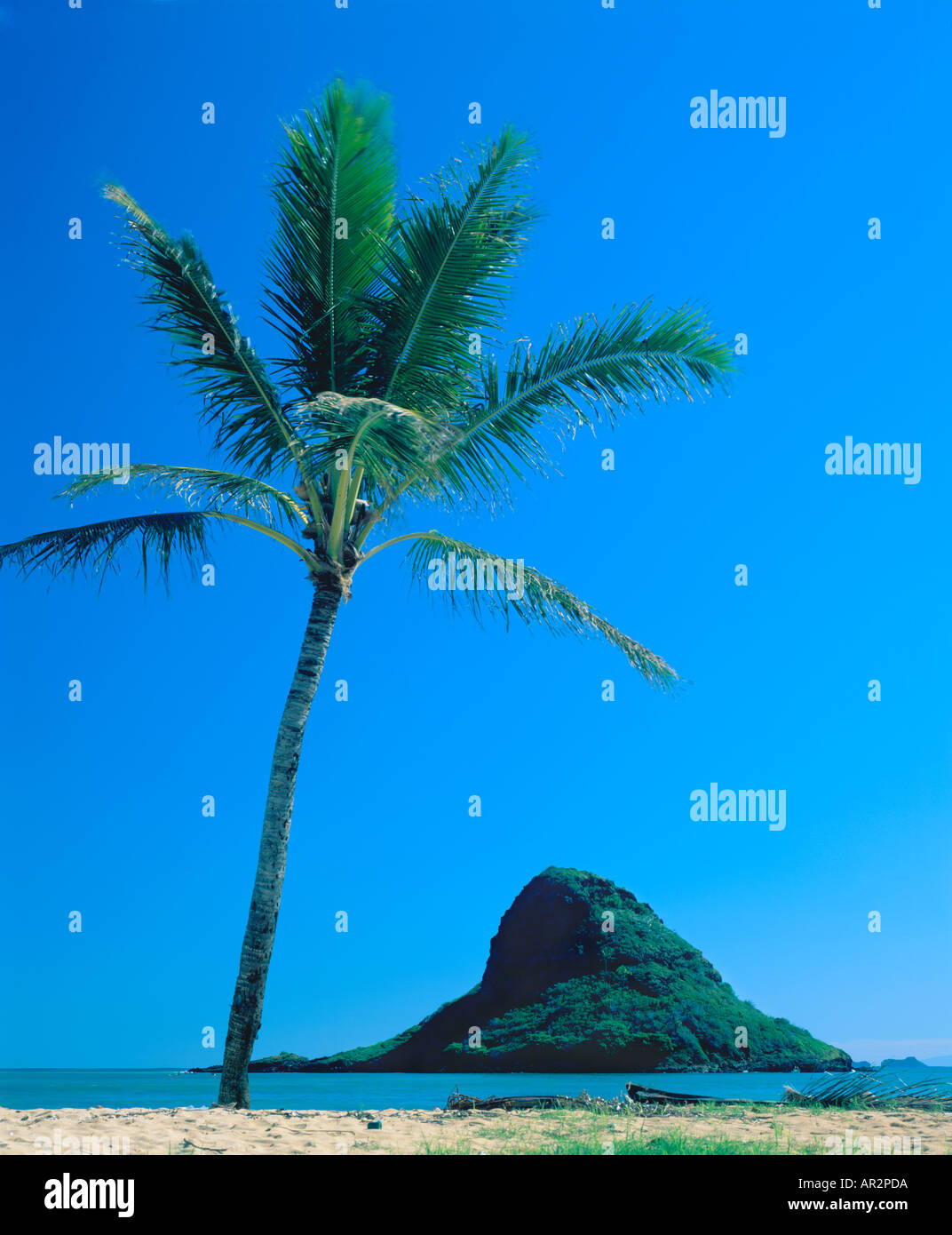 Coconut island kaneohe bay oahu hi-res stock photography and images - Alamy