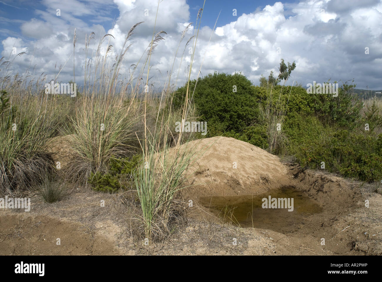 Puddle in a dune on the peloponnesus hi-res stock photography and ...