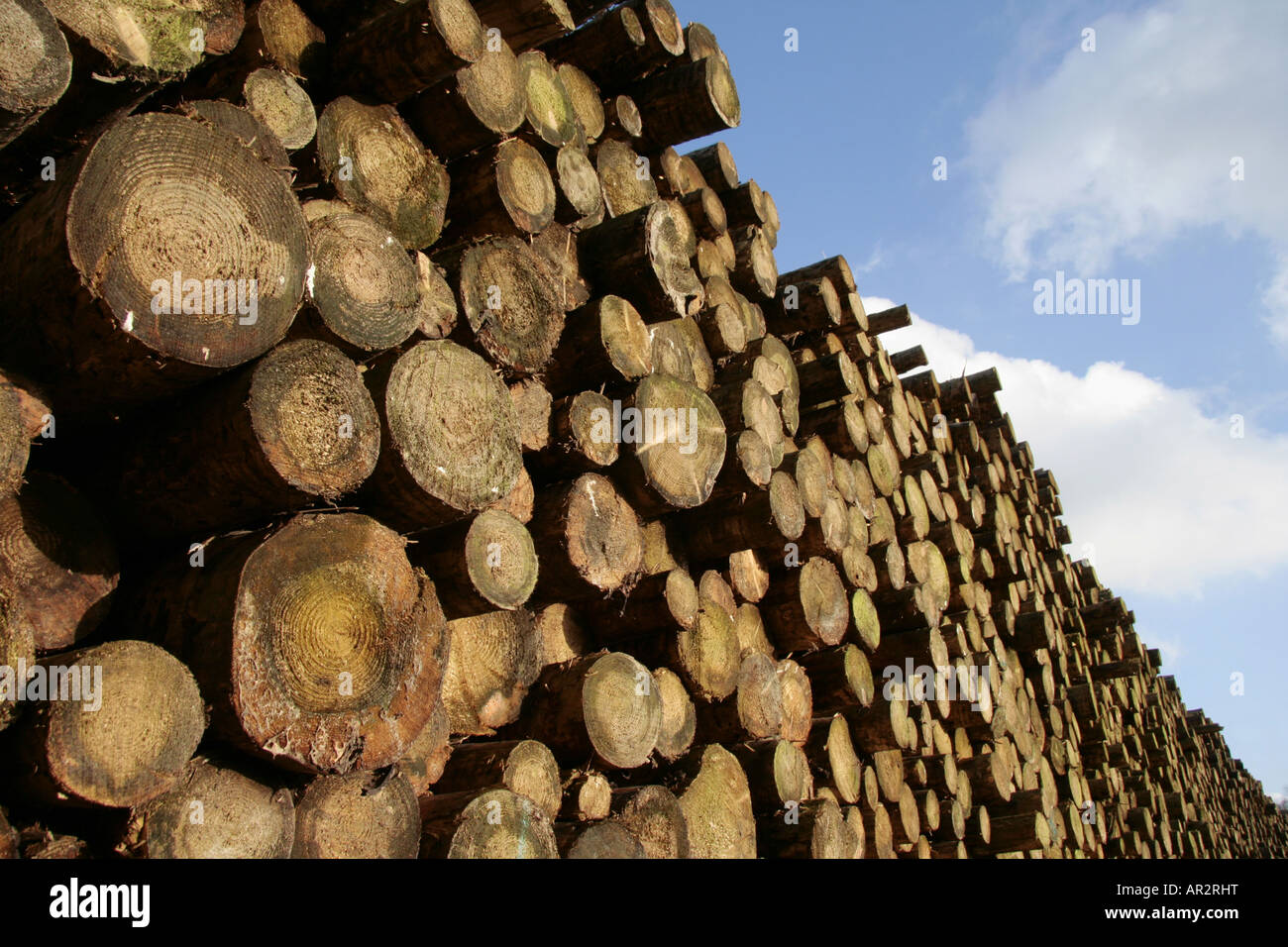 pile of wood, Germany Stock Photo - Alamy