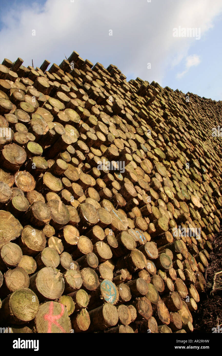 Vertical habitat pile hi-res stock photography and images - Alamy