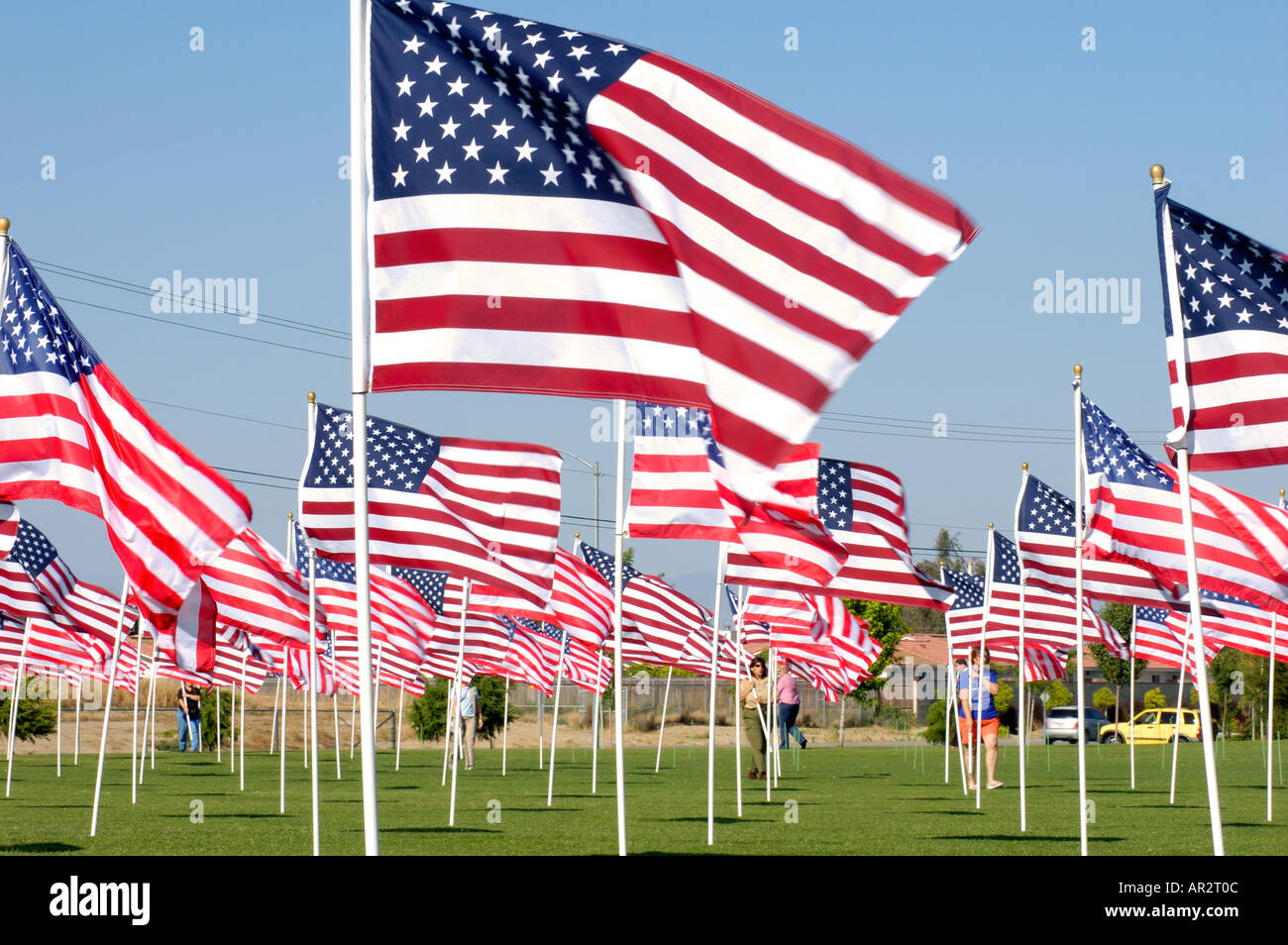 Rows american flags waving hi-res stock photography and images - Alamy