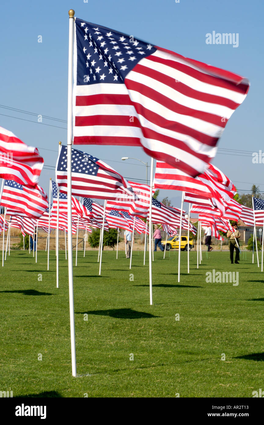 Rows Of Waving United States America Flags Red White Blue Stock Photo ...