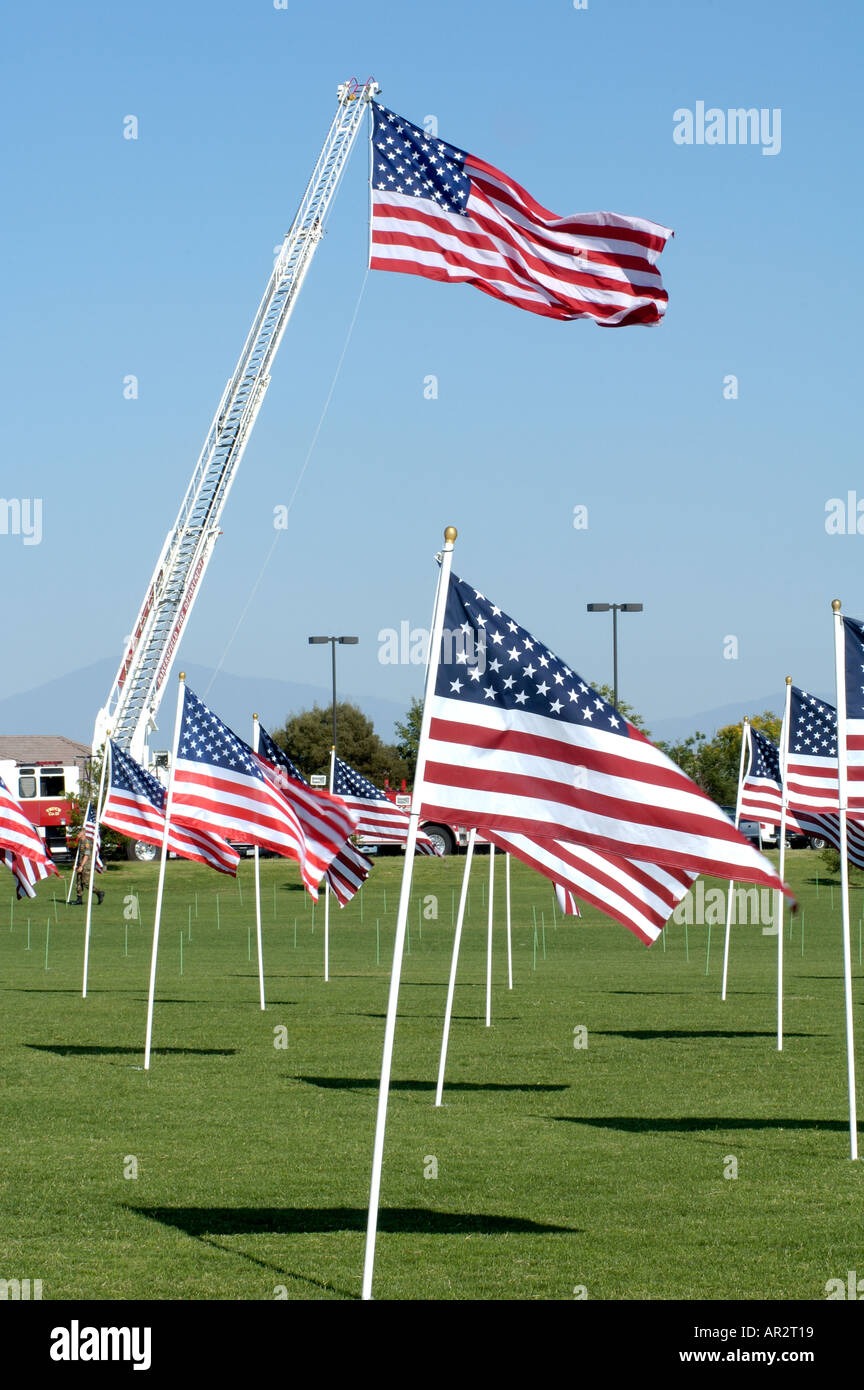 Rows Of Waving United States America Flags Red White Blue Stock Photo ...