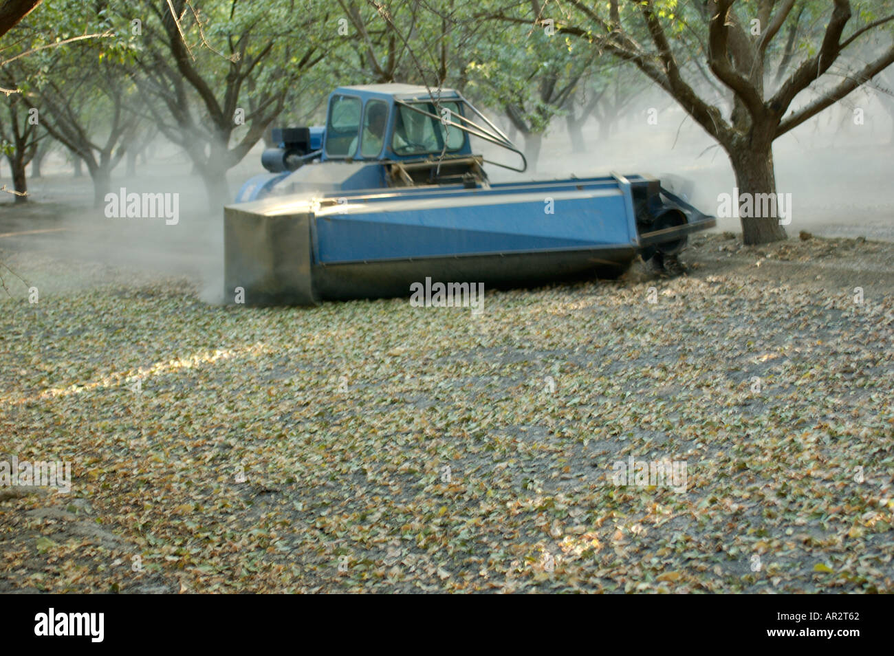 Almond harvest tractor hi-res stock photography and images - Alamy