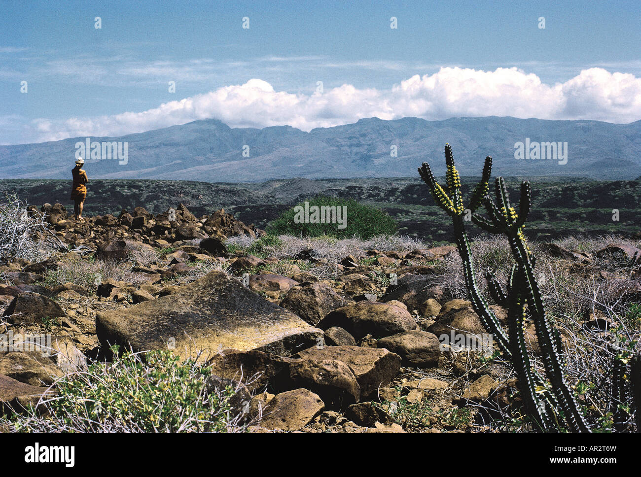 Mount Kulal seen from a few miles south of Loiengalani Northern Kenya ...