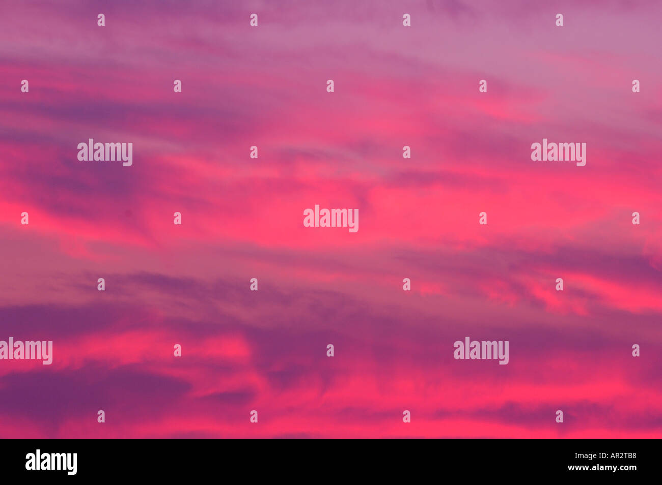 Pink Cloudy Sky At Sunset Sunrise Background Layer Stock Photo - Alamy