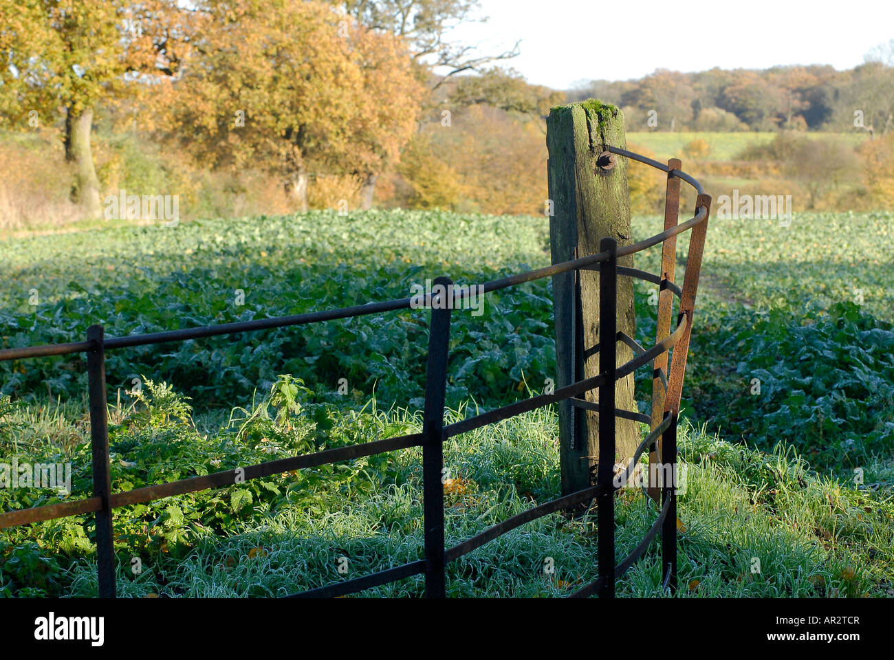 Old farm fence hi-res stock photography and images - Alamy