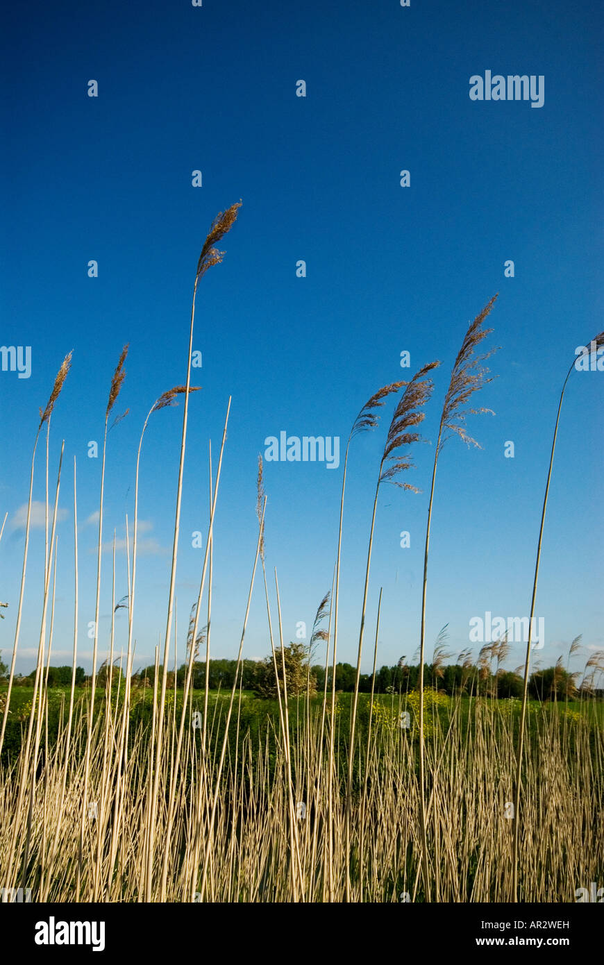 Castle eaton wiltshire hi-res stock photography and images - Alamy