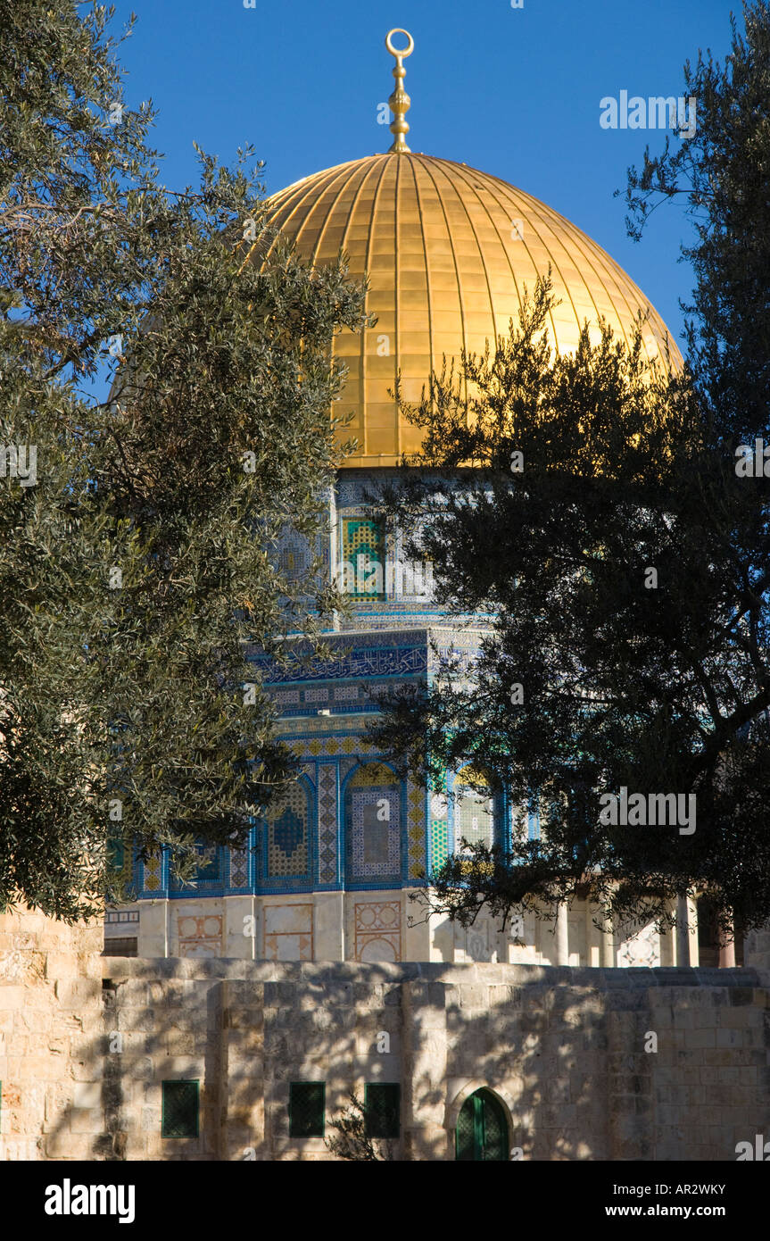 Mosque of the olive tree mosque hi-res stock photography and images - Alamy
