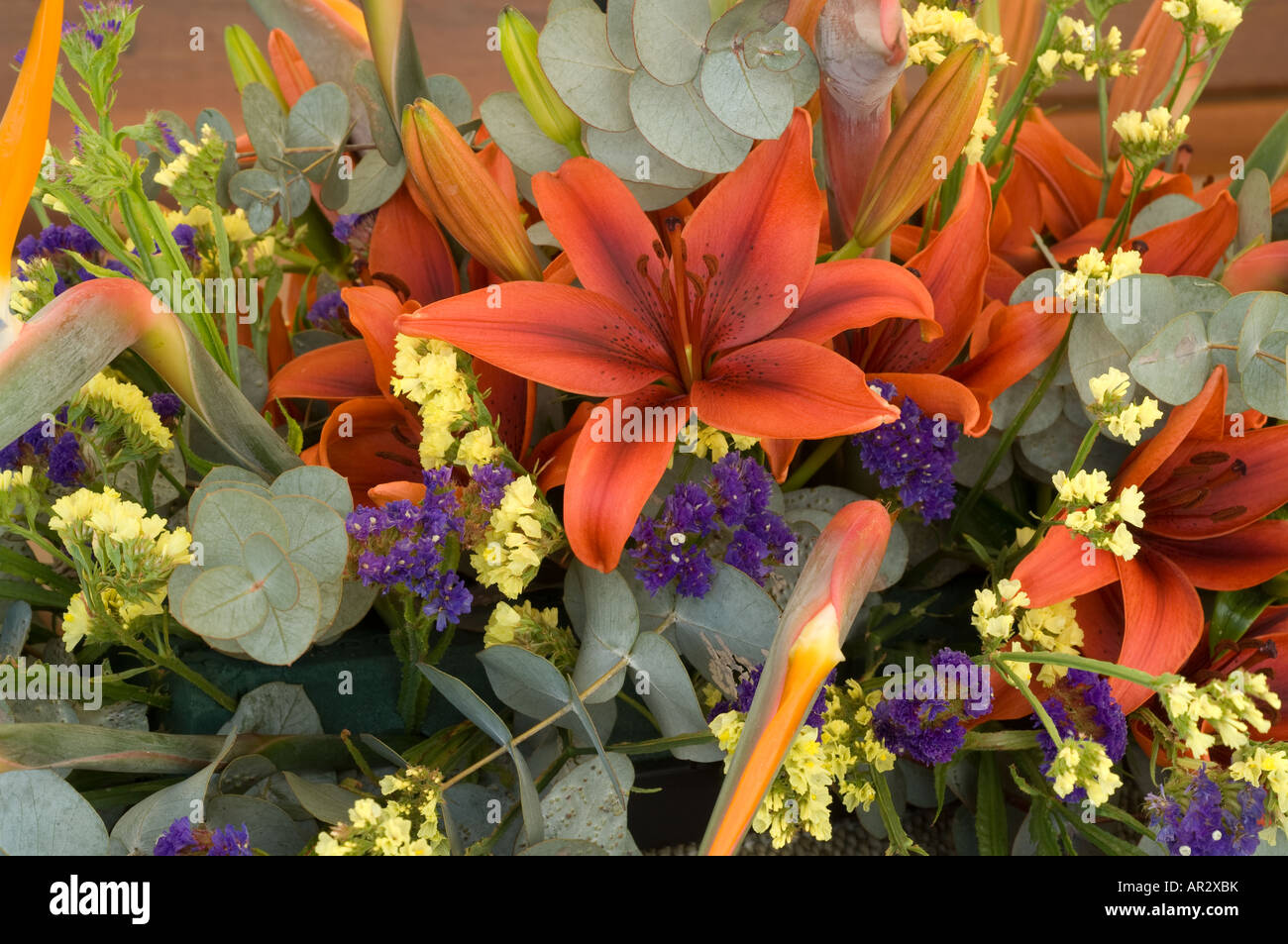 Bold flower arrangment Perth Royal Show Western Australia September ...