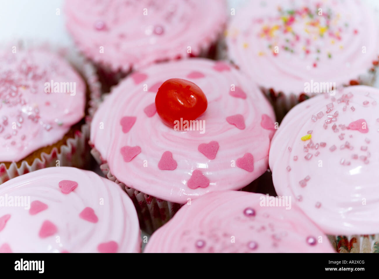 Home baked cup cakes or fairy cake - sponge cakes with pink fondant ...