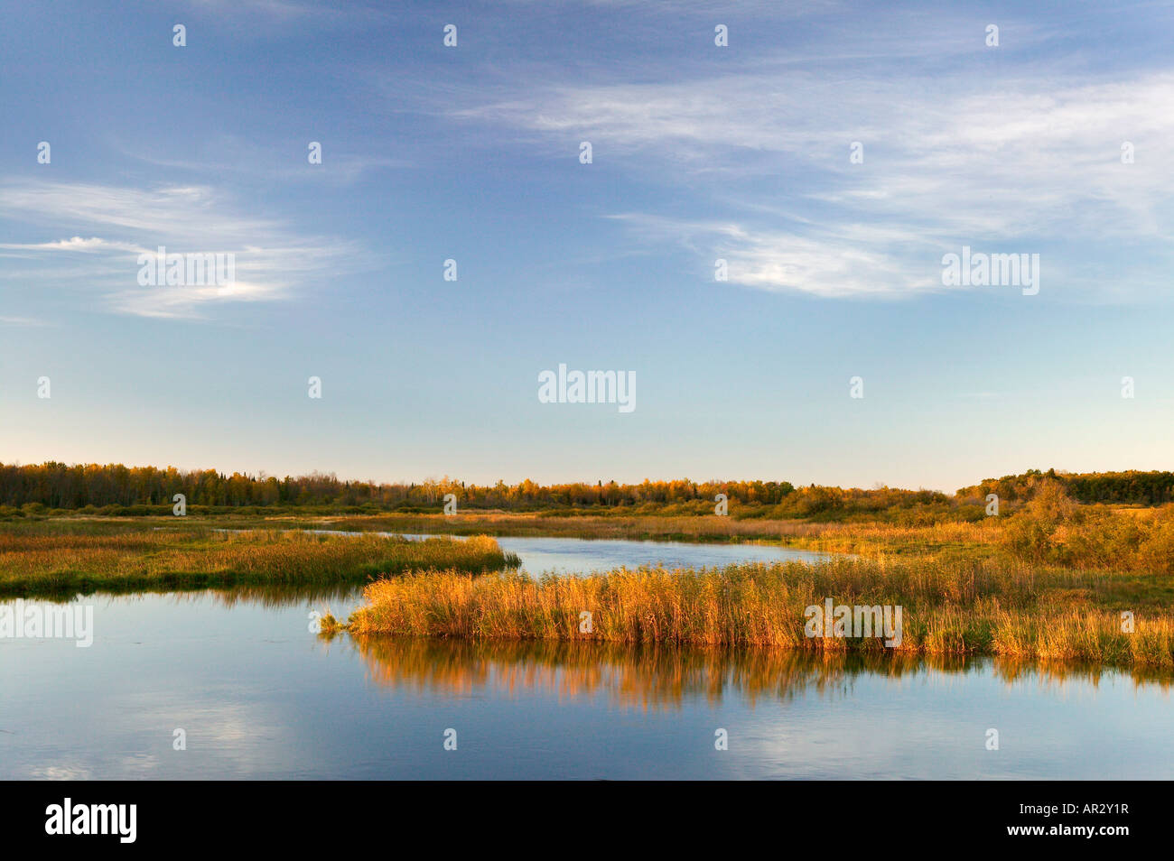 confluence of Mississippi River and Leech Lake River, Chippewa National ...