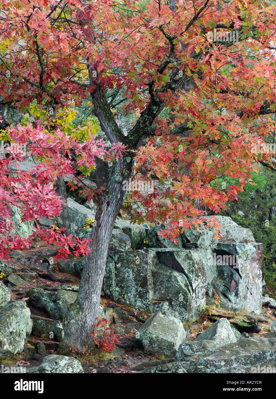 St croix dalles hi-res stock photography and images - Alamy