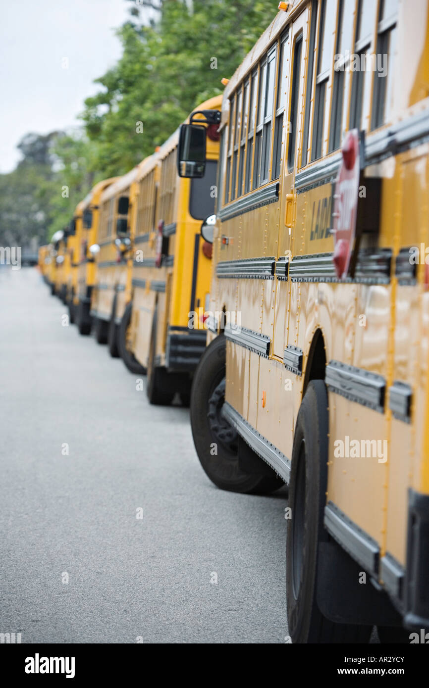 Yellow school buses lined in a row Stock Photo - Alamy