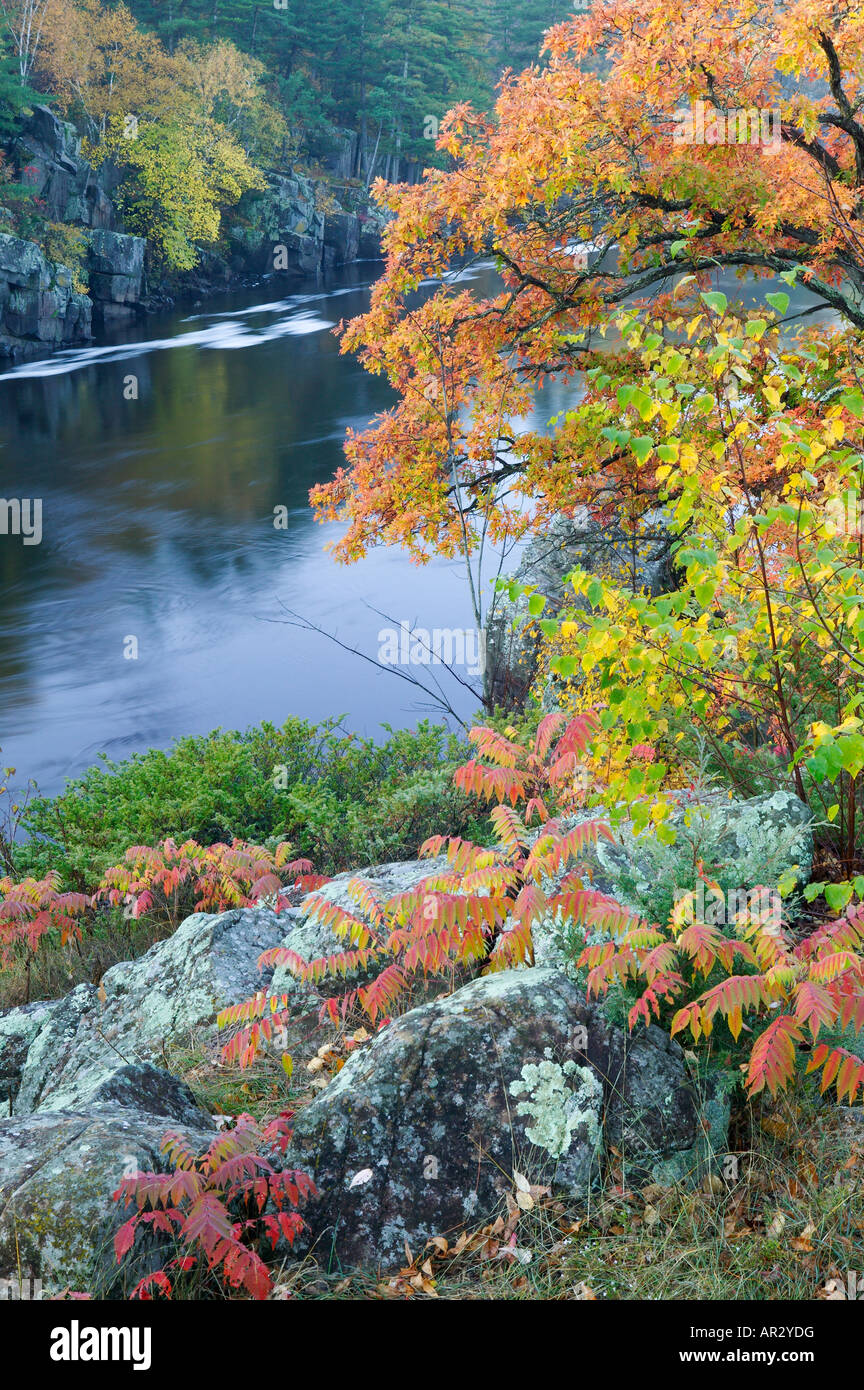 autumn trees, Dalles of the St. Croix River, St. Croix National Wild ...