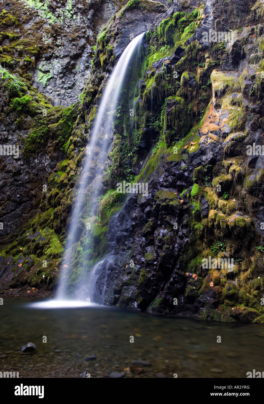 Fall Creek Falls, Umpqua National Forest, Oregon USA Stock Photo - Alamy