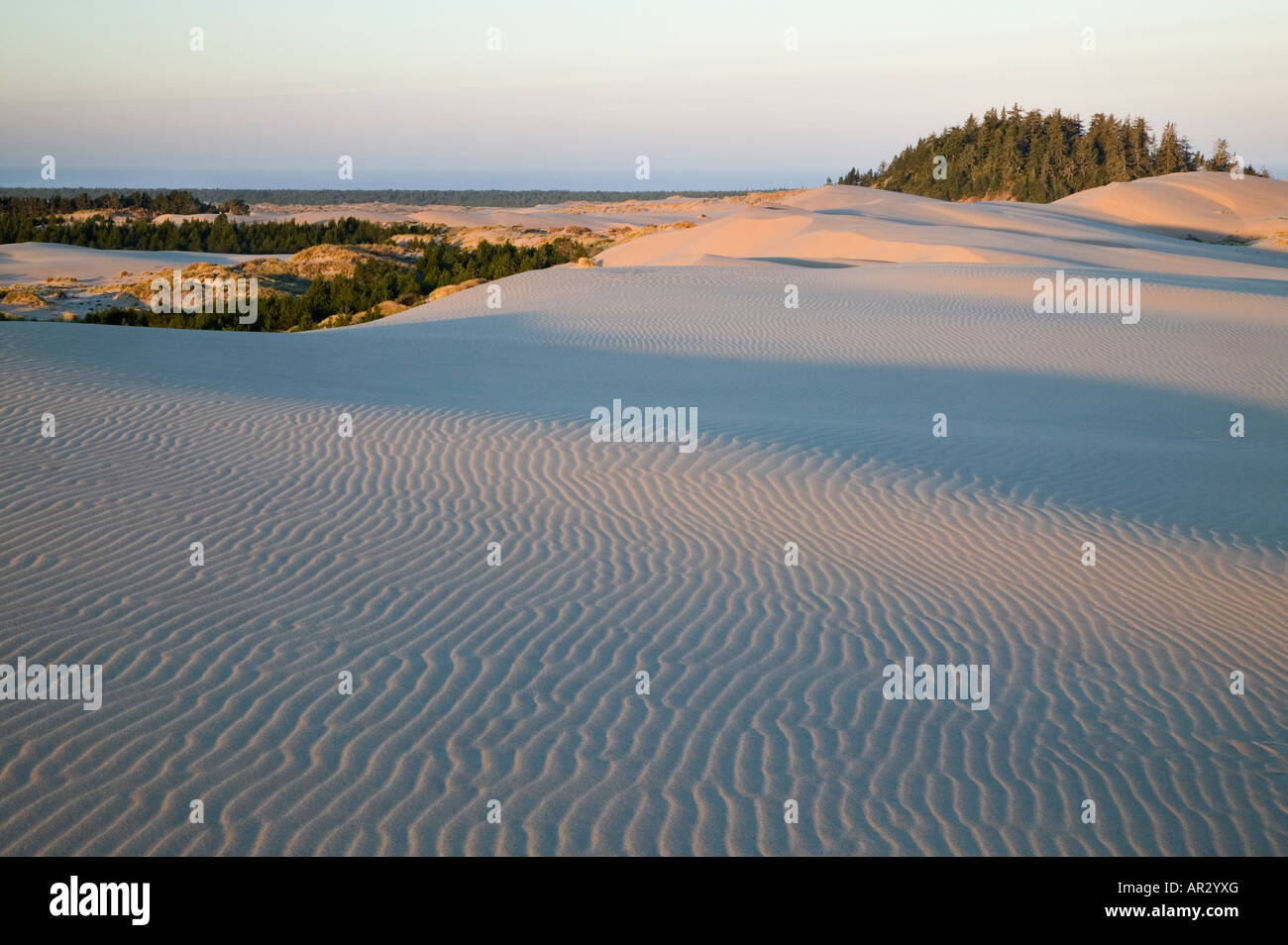 dunes, Oregon Coast, Oregon Dunes National Recreation Area, Siuslaw ...