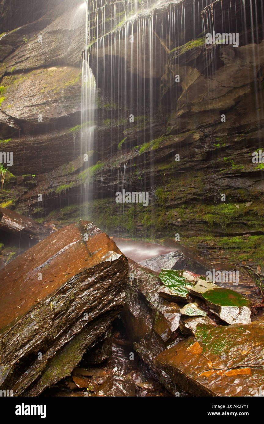 Trace hi-res stock photography and images - Alamy