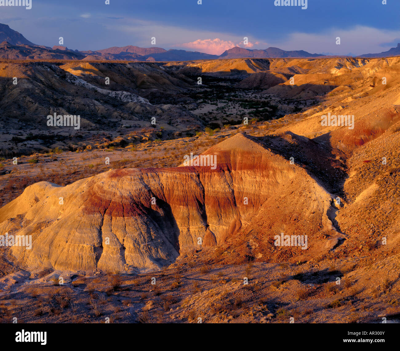 Big maverick hi-res stock photography and images - Alamy