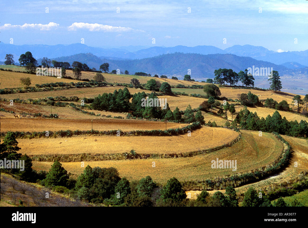 Landscape Oyameles Puebla Mexico Stock Photo - Alamy