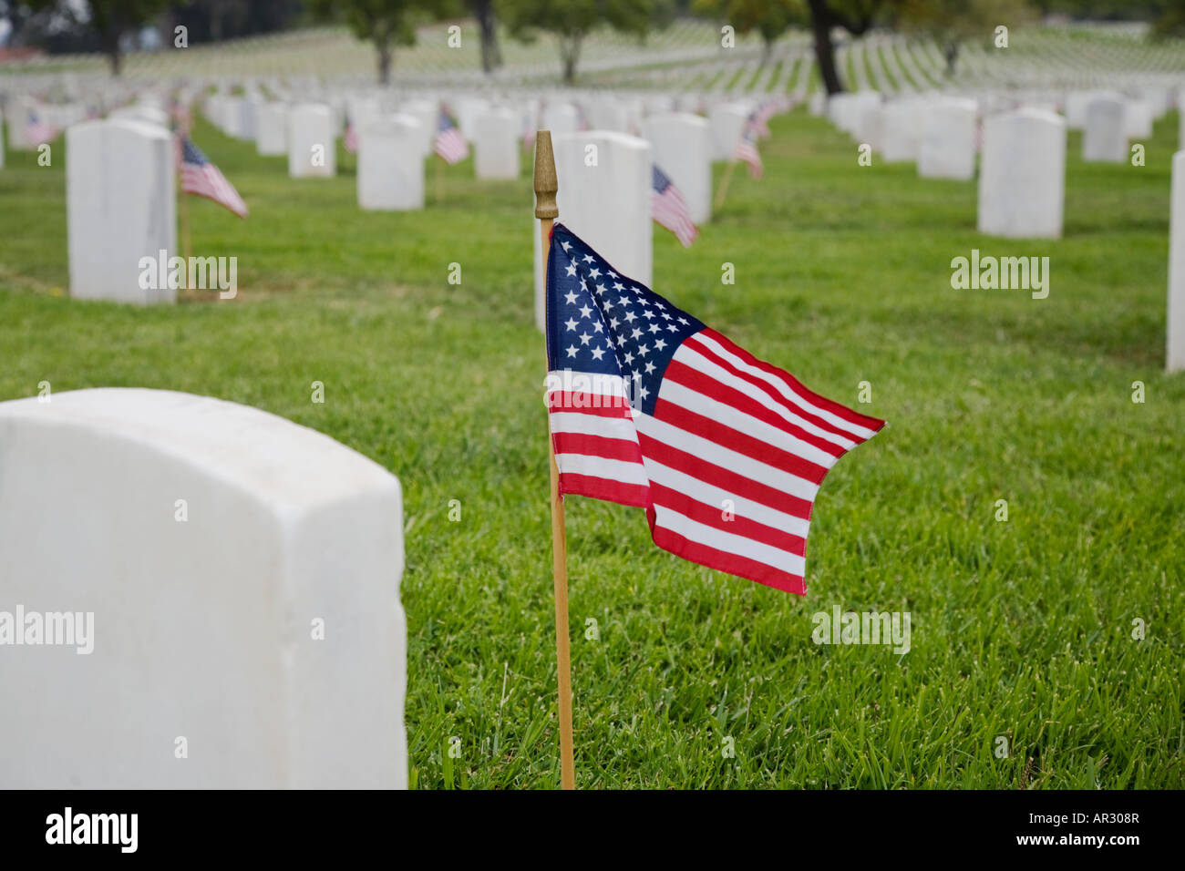 The Veterans cemetery displaying the American flags Stock Photo - Alamy