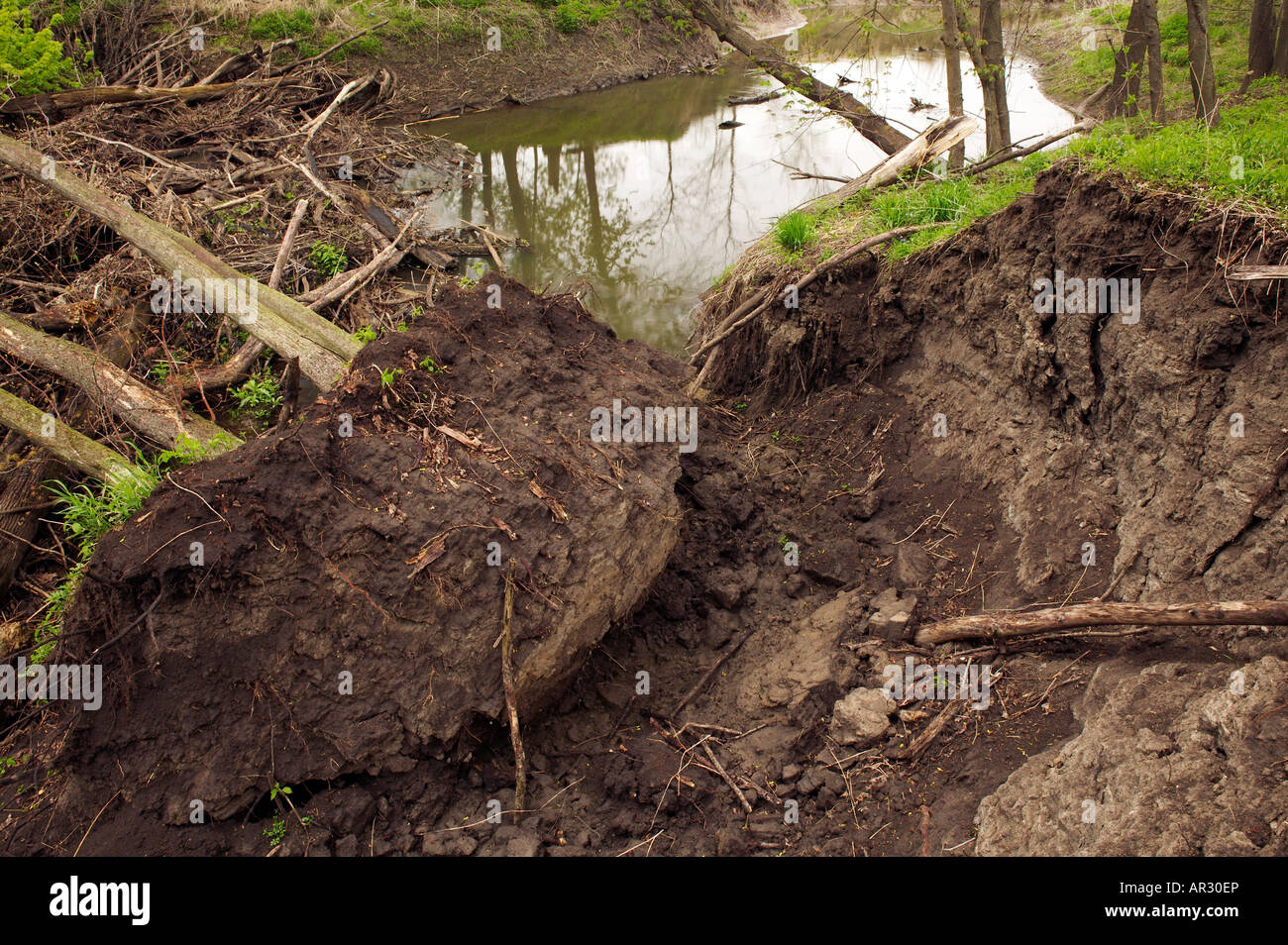 erosion along East Fork Crooked Creek, Iowa USA Stock Photo - Alamy
