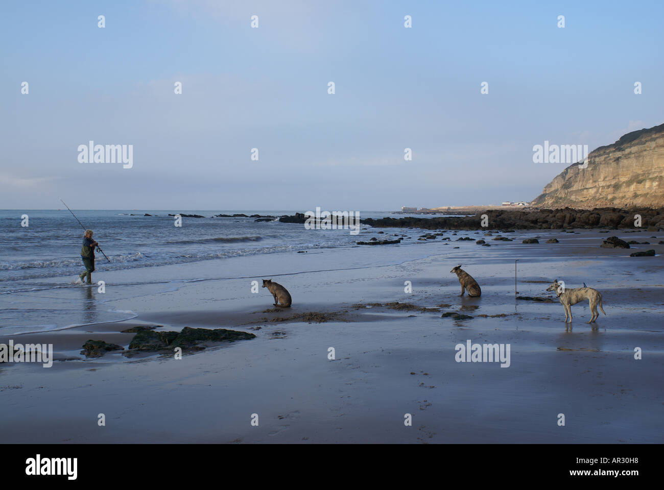 Fishing dogs hi-res stock photography and images - Alamy