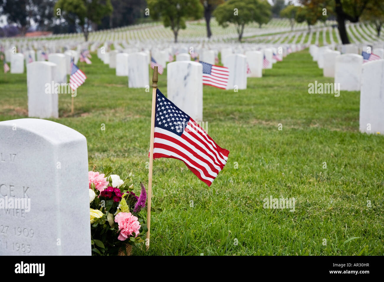 The Veterans cemetery displaying the American flags Stock Photo - Alamy