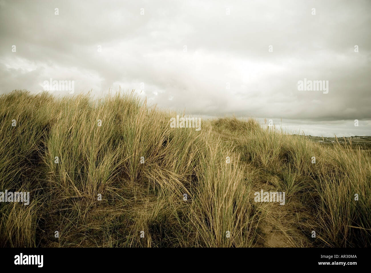 common-name-sand-dunes-stock-photo-alamy