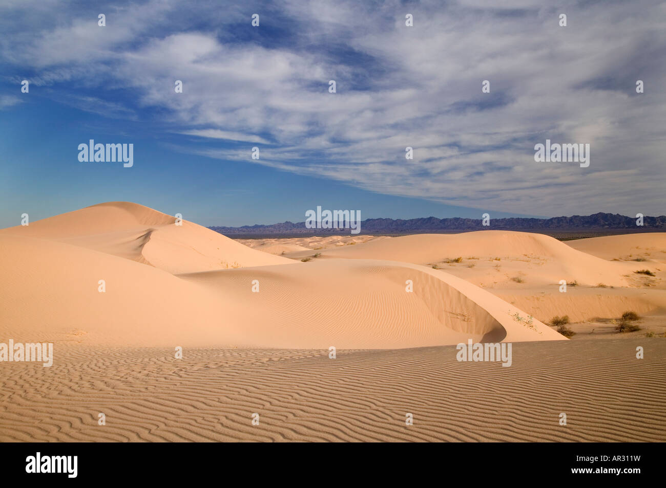 Imperial Sand Dunes, North Algodones Wilderness, California USA Stock ...