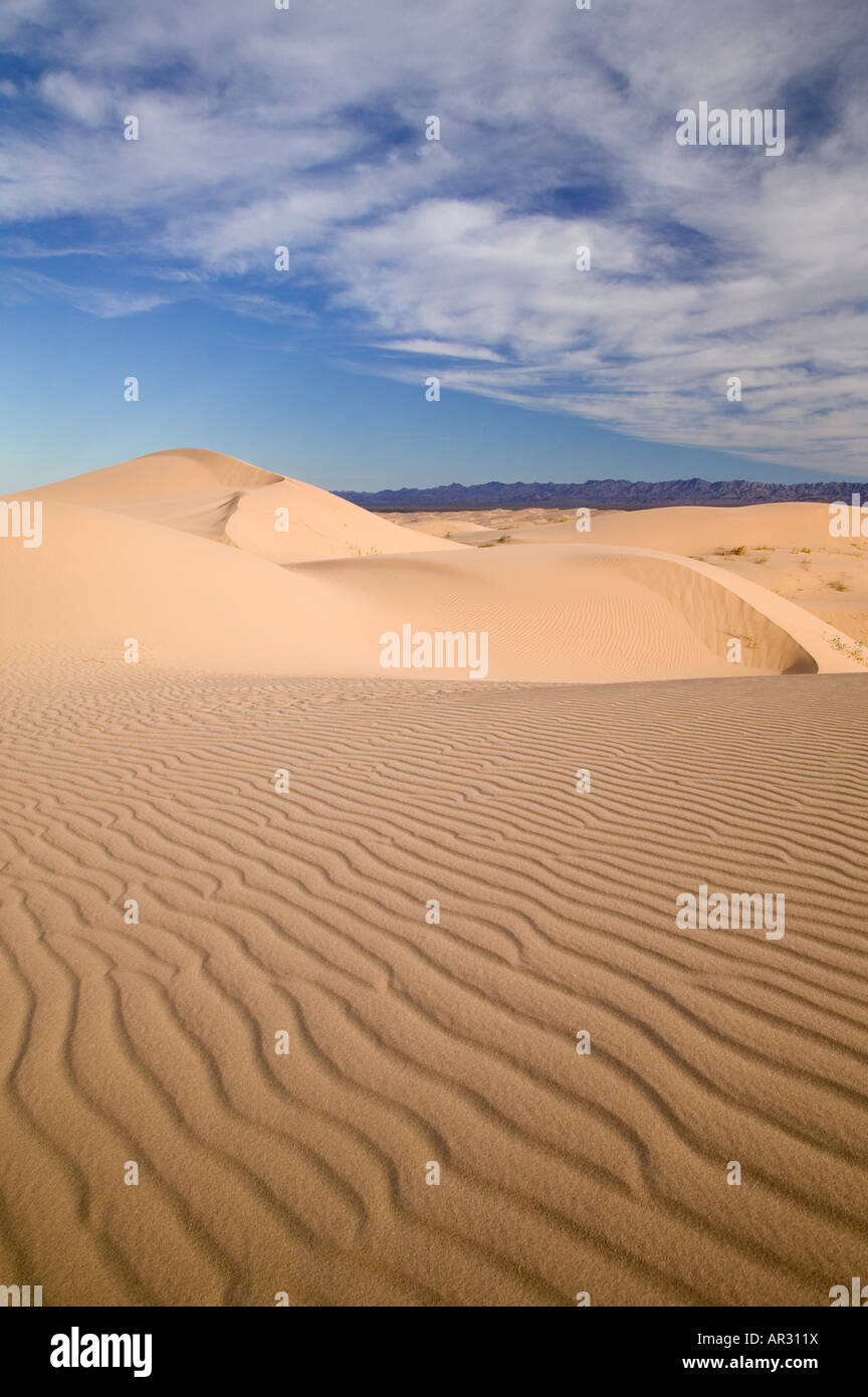 Imperial Sand Dunes, North Algodones Wilderness, California USA Stock ...