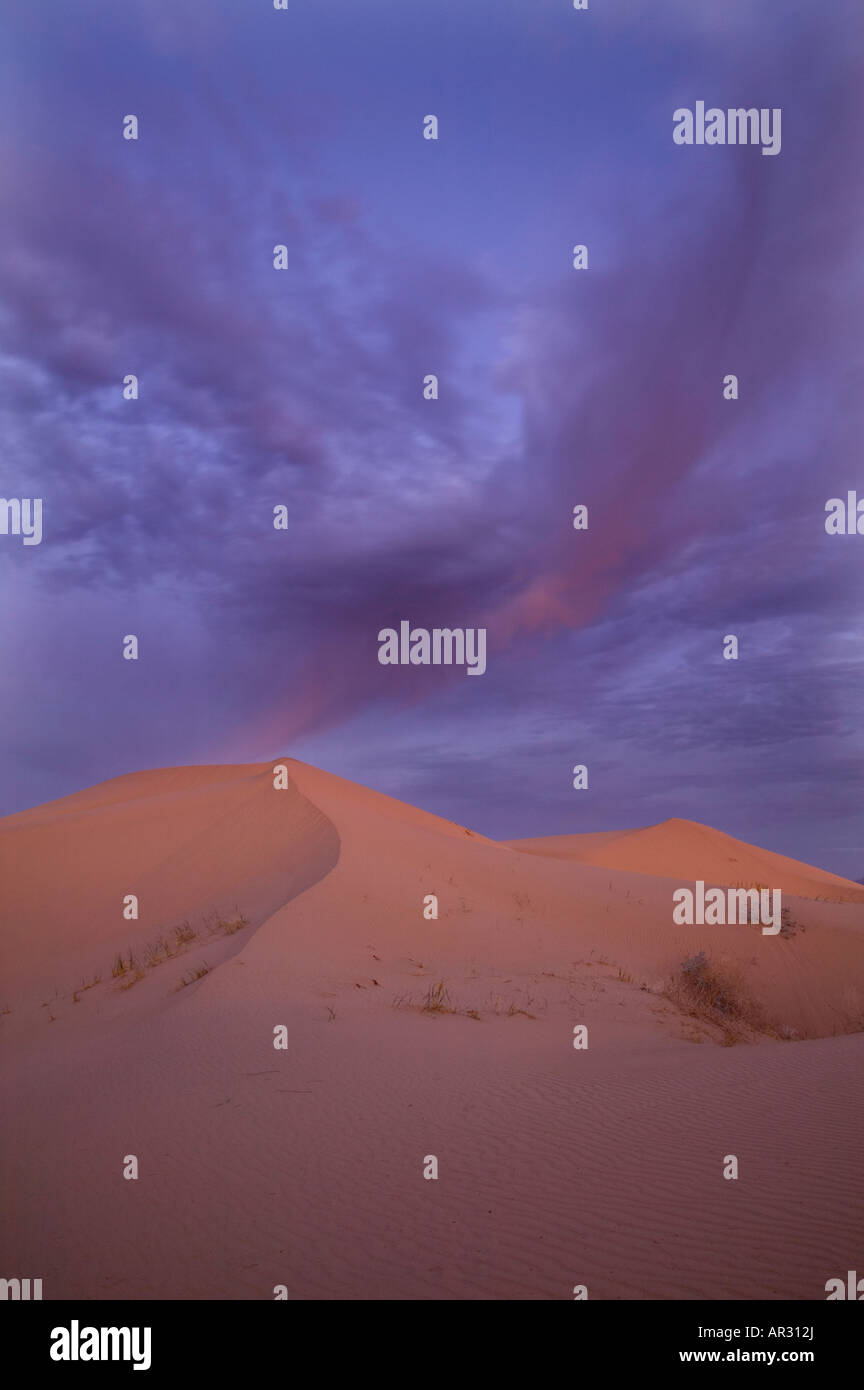 Imperial Sand Dunes, North Algodones Wilderness, California USA Stock ...