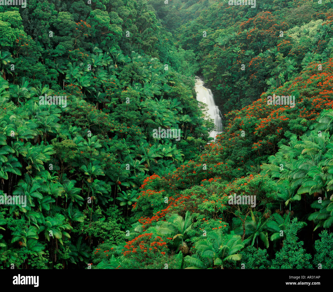 Nanue gulch hi-res stock photography and images - Alamy