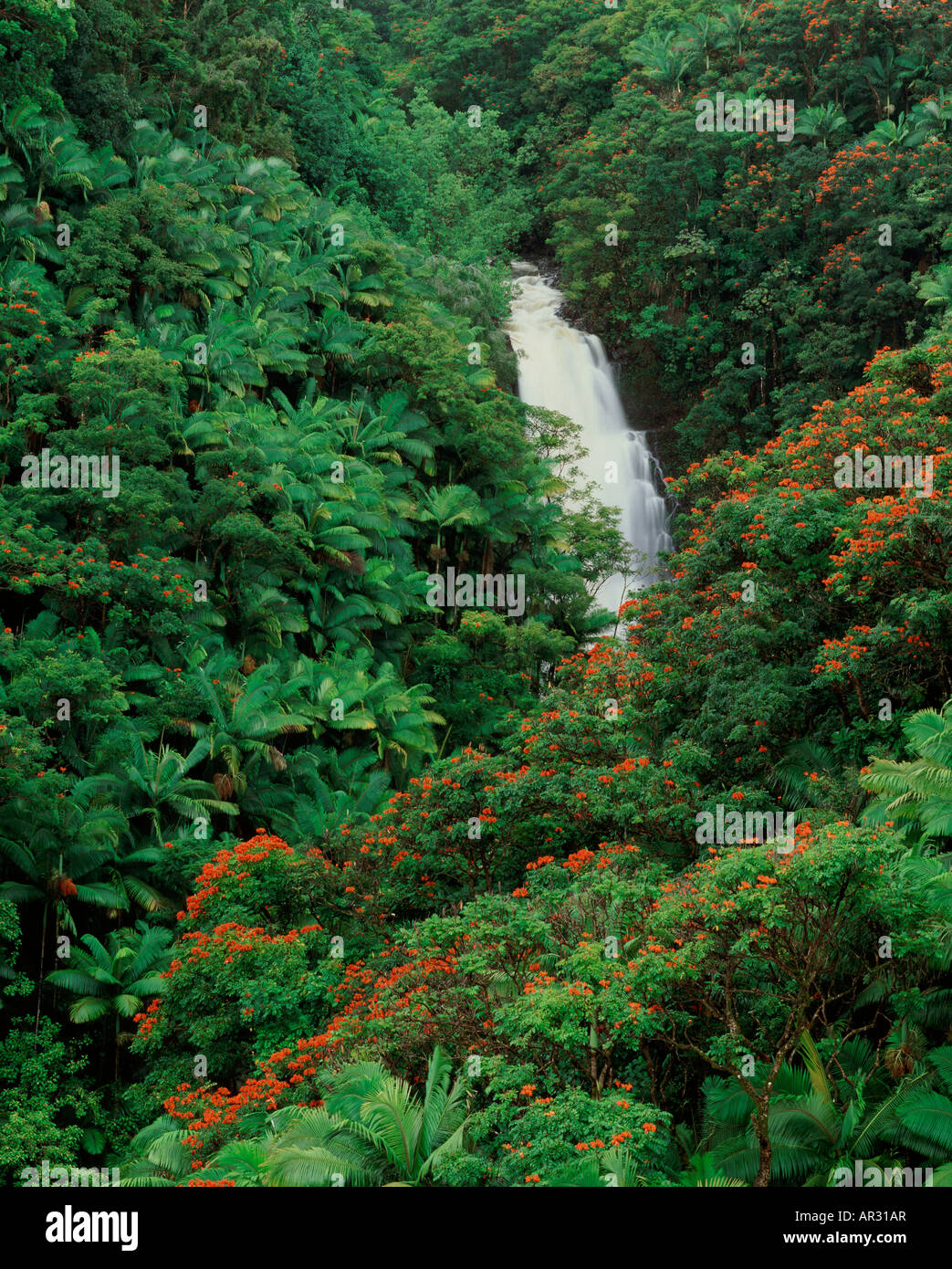 Nanue gulch hi-res stock photography and images - Alamy