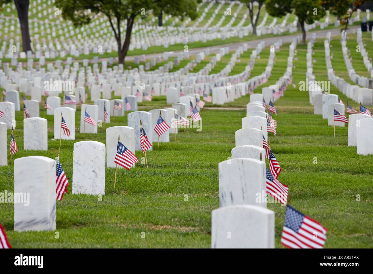 veterans cemetery on Veterans day with american flags on the graves ...