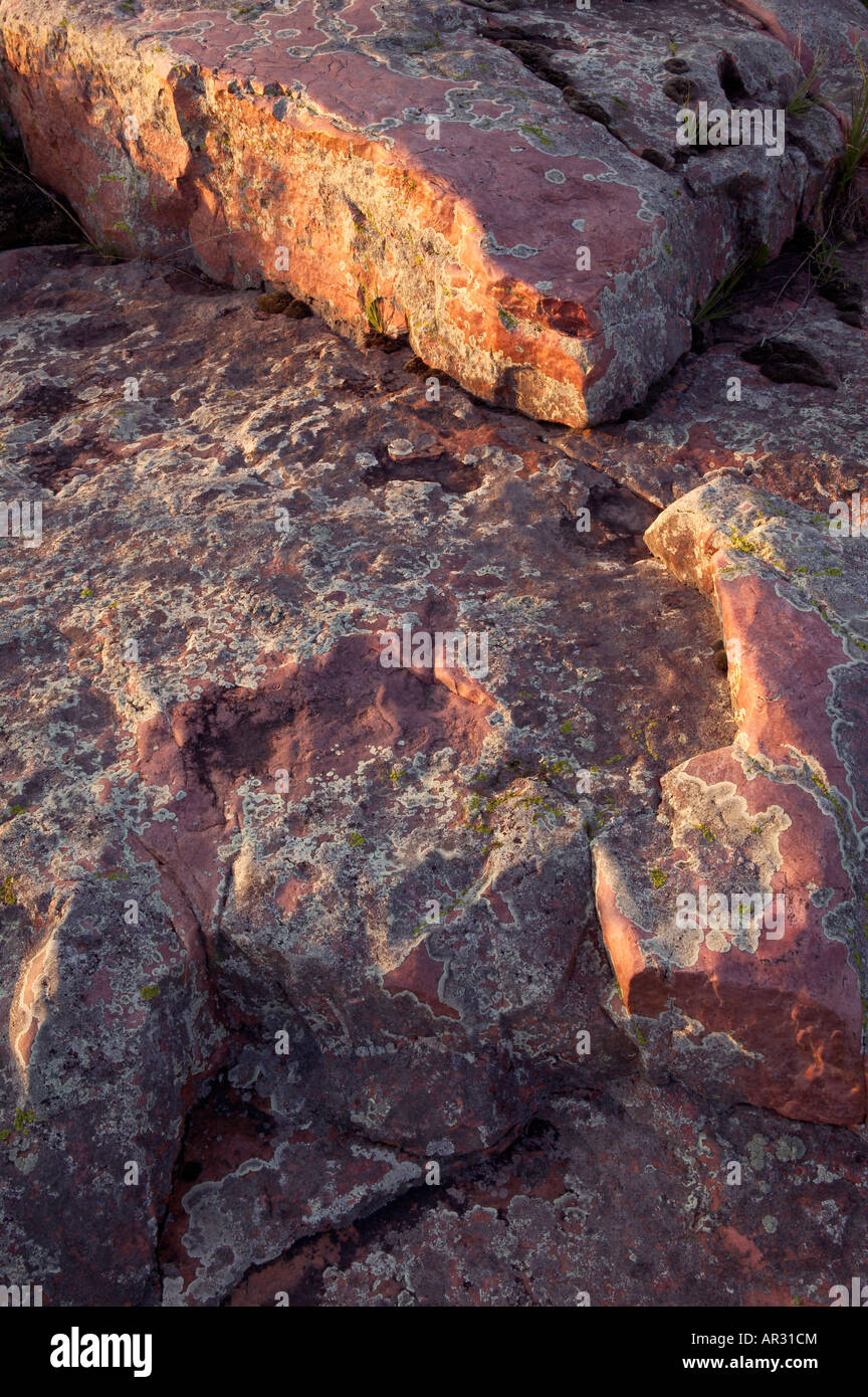 Sioux Quartzite outcropping, Gitchie Manitou State Preserve, Iowa USA ...