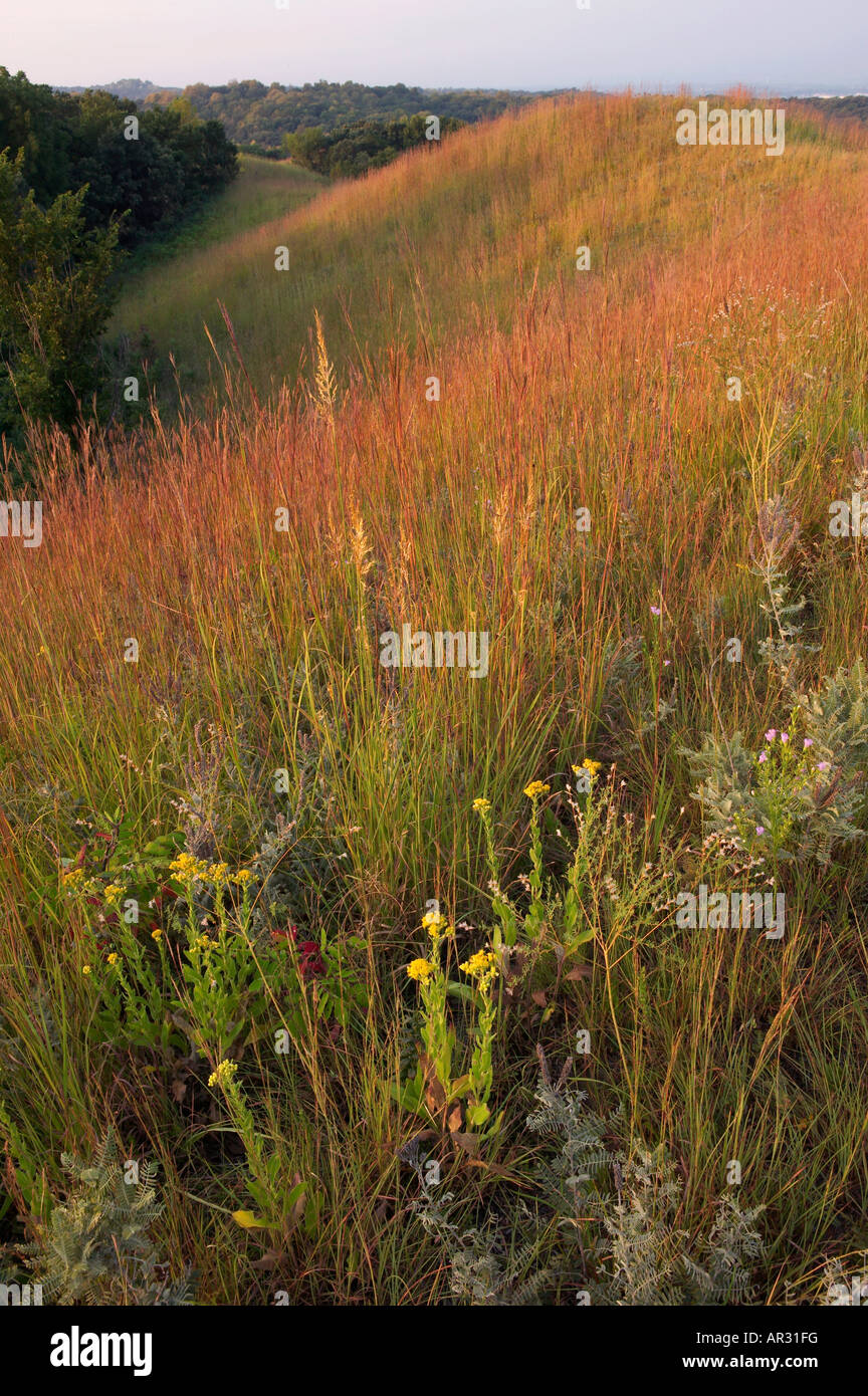 native prairie, Loess Hills, Mount Talbot State Preserve, Iowa USA ...