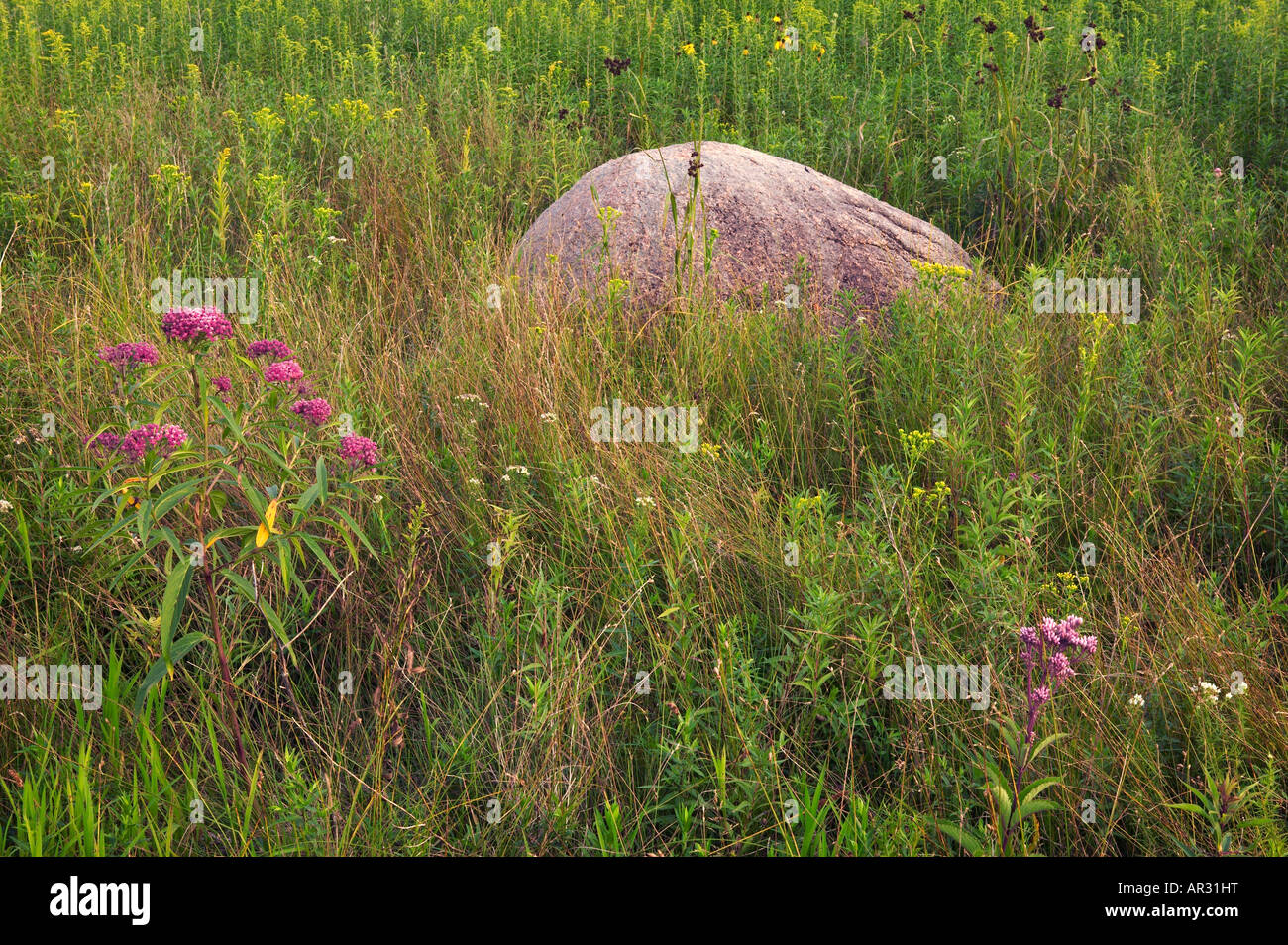 Rowley fen hi-res stock photography and images - Alamy