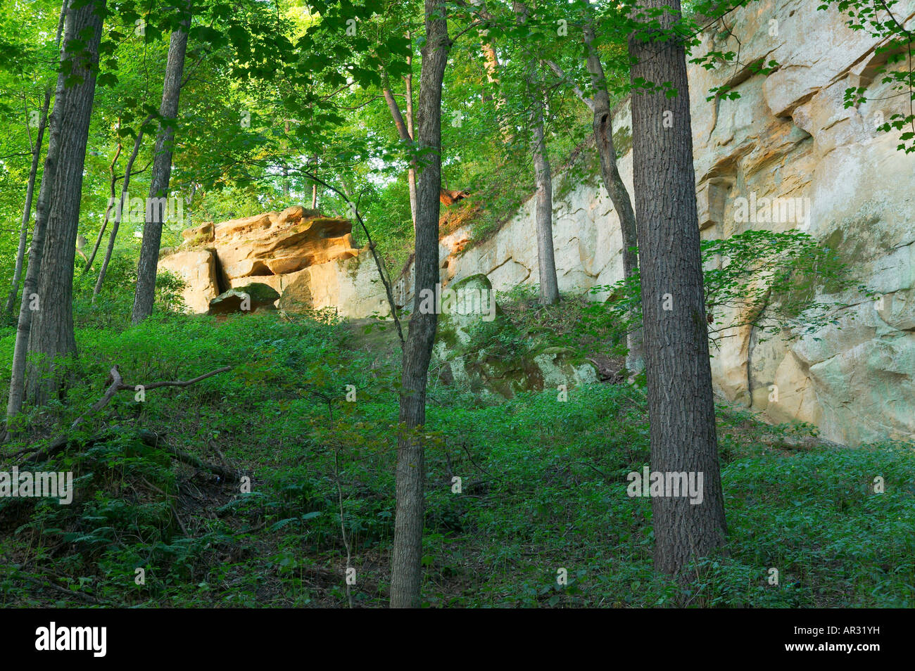 sandstone bluff and upland forest, Wildcat Den State Park, Iowa USA ...
