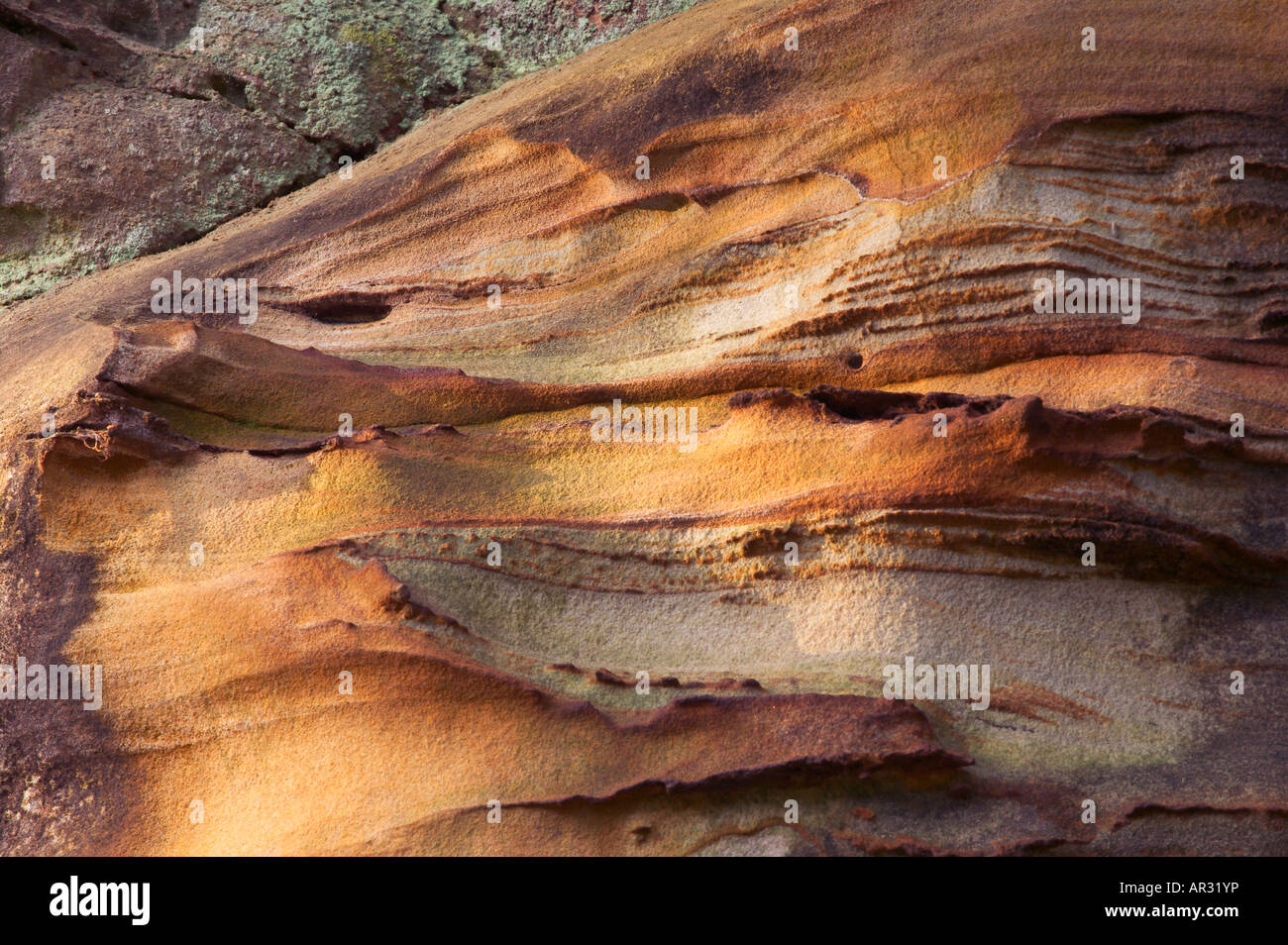 detail - sandstone bluff, Wildcat Den State Park, Iowa USA Stock Photo ...
