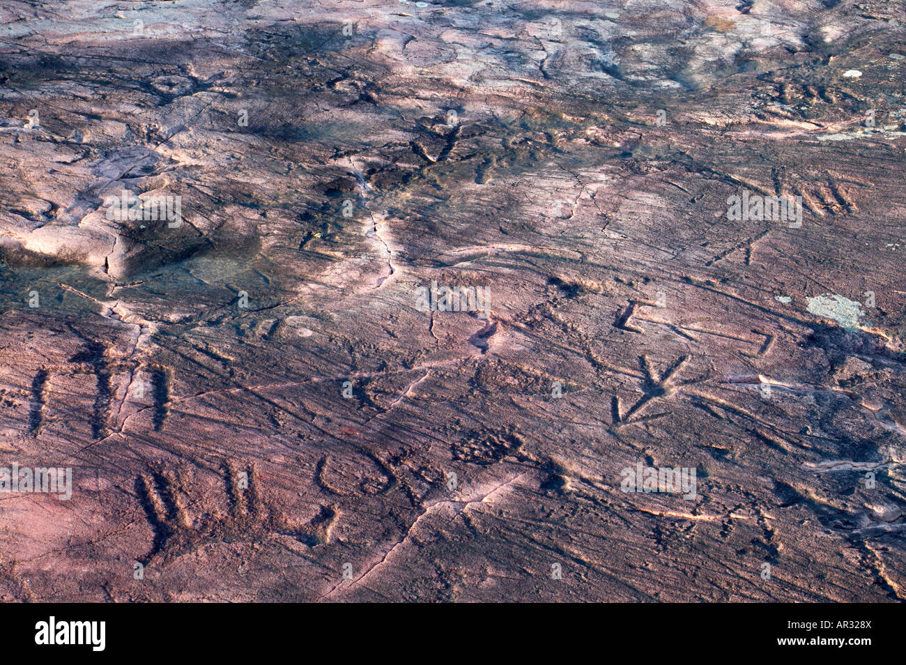 Petroglyphs on Sioux Quartzite, Jeffers Petroglyphics Historic Site ...