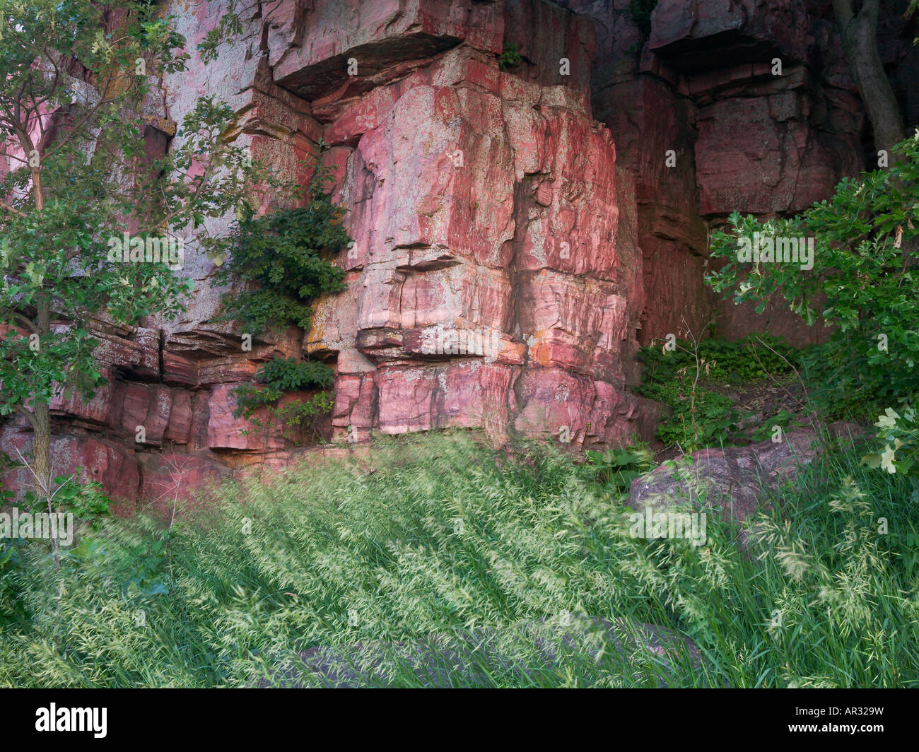 Sioux Quartzite outcropping, Blue Mounds State Park, Minnesota USA ...