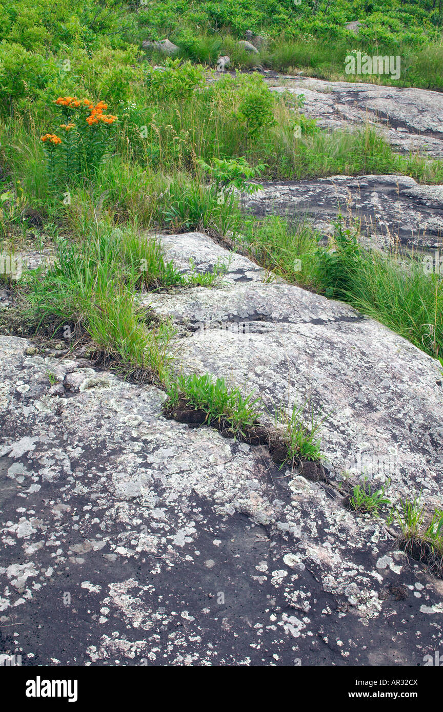 Morton gneiss hi-res stock photography and images - Alamy