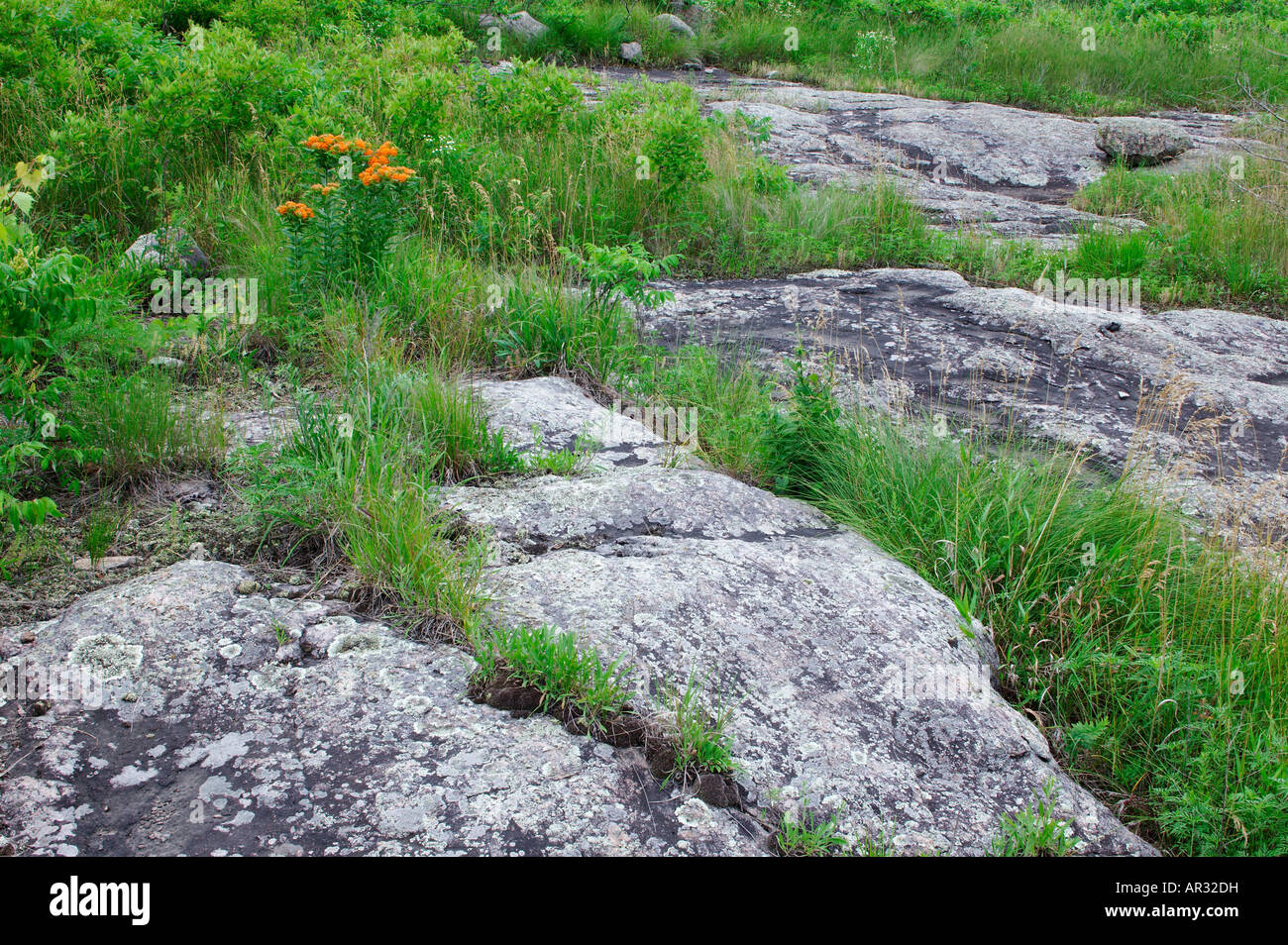 Morton Gneiss -- the oldest known exposed rock in North America, Morton ...