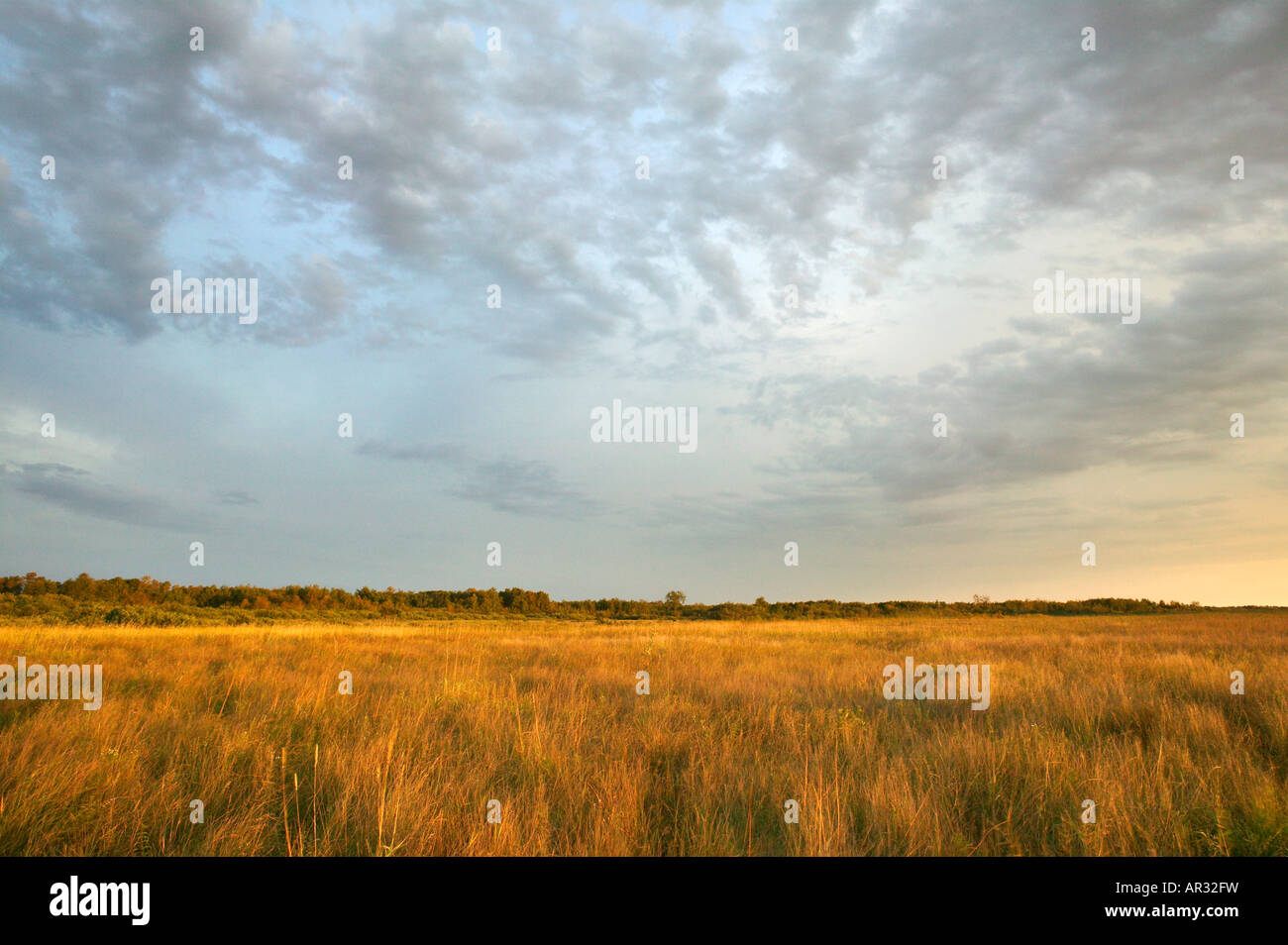 native tallgrass prairie, Wallace C. Dayton Conservation Area, The ...
